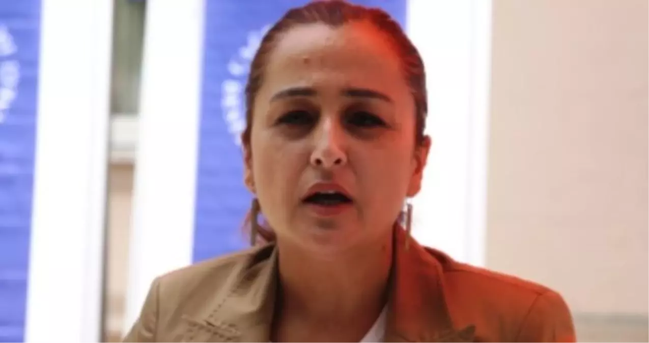 Ayşegül Erkol kimdir? Ayşegül Erkol neden gözaltına alındı ...